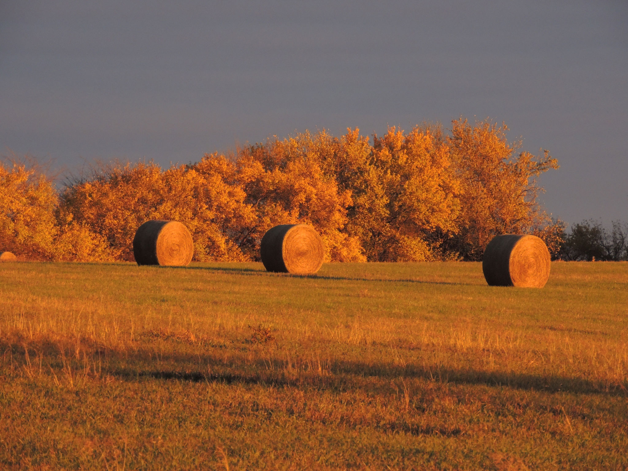 Photo gallery: Behind the Lens – Images of Fall | News, Sports, Jobs ...